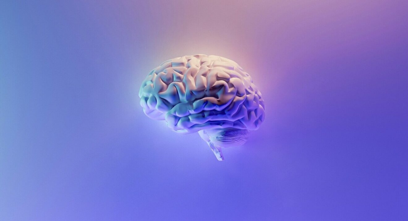 The Role of Memory Recall in Psychedelic Integration